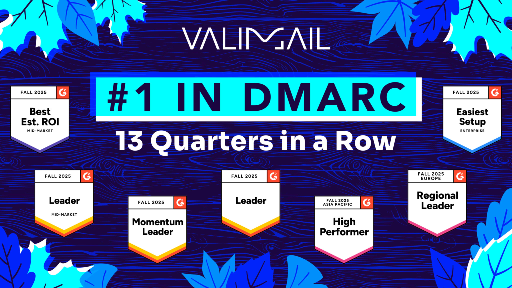 DMARC record examples: What a DMARC record looks like - Valimail